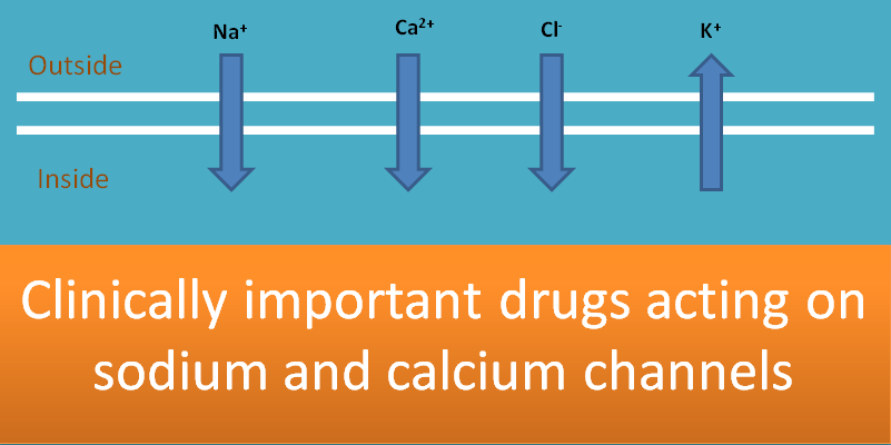 Clinically important drugs acting on sodium and calcium channels